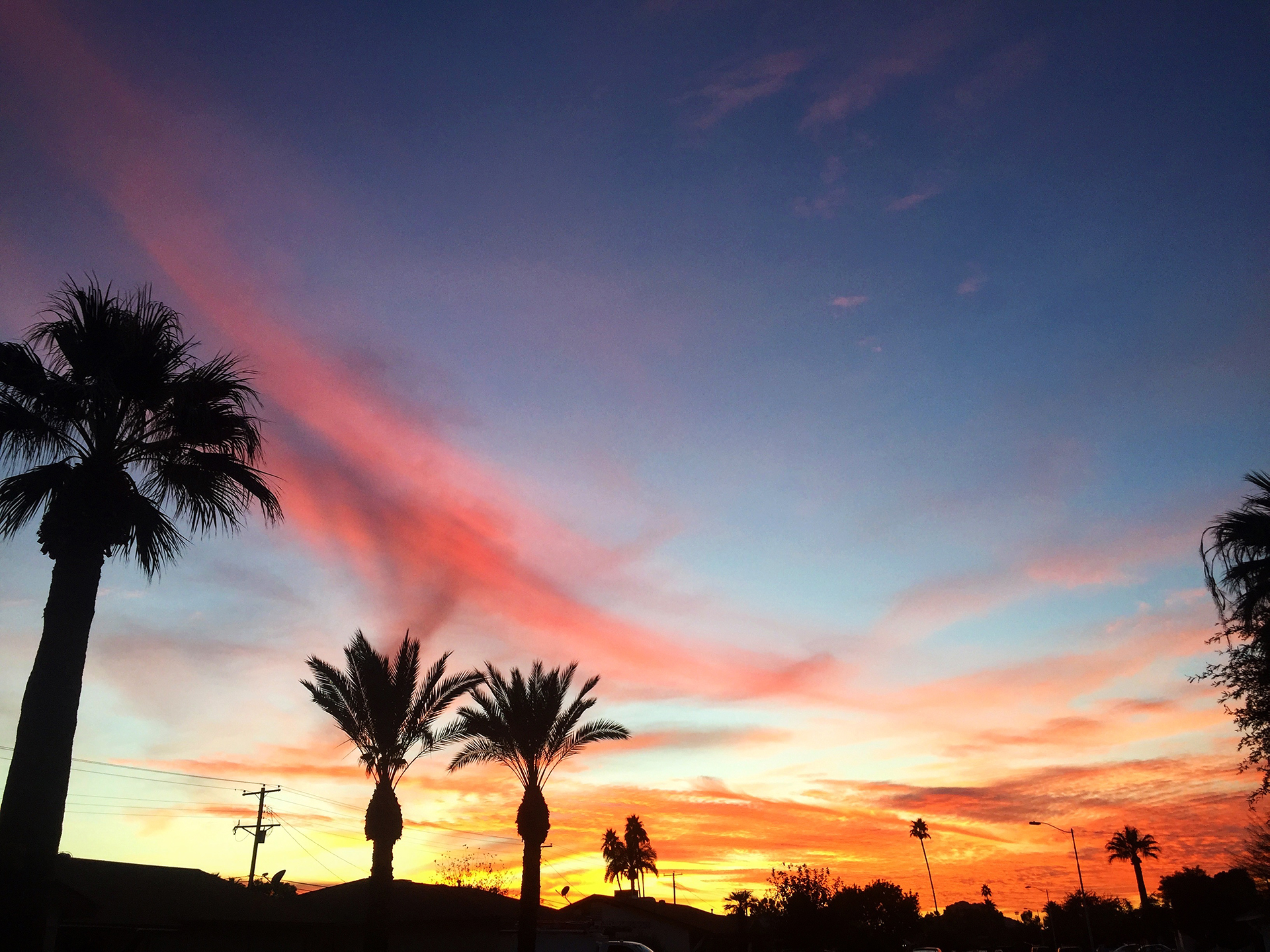 IMG_6451 | GETSIMS.COM